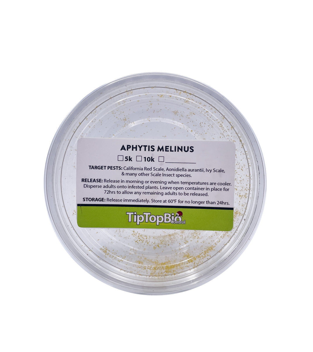 Aphytis melinus - Scale Control – GardeningZone